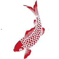 华府青年 CYOC – Capital Youth Outreach Club